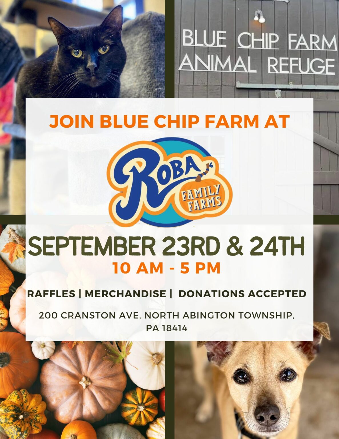 Home - Blue Chip Farm Animal Refuge