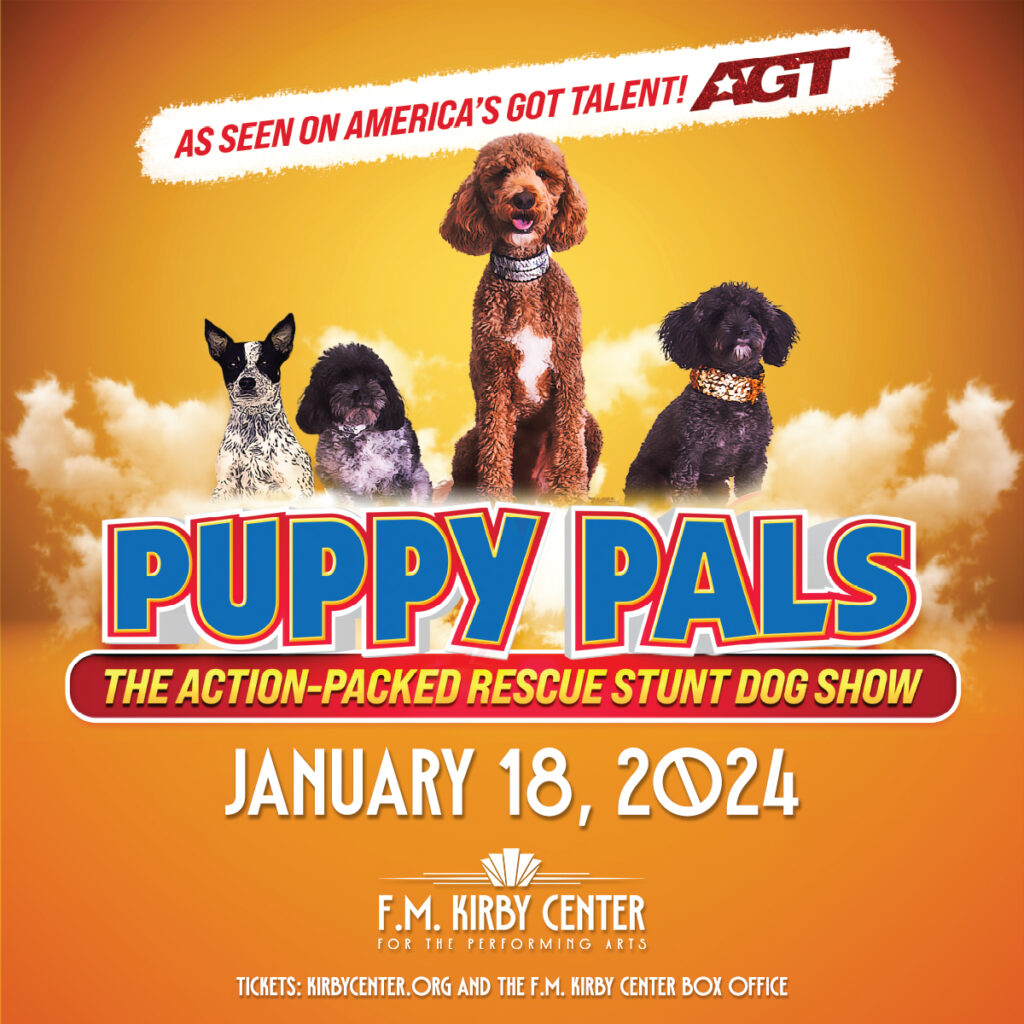 Home - Blue Chip Farm Animal Refuge