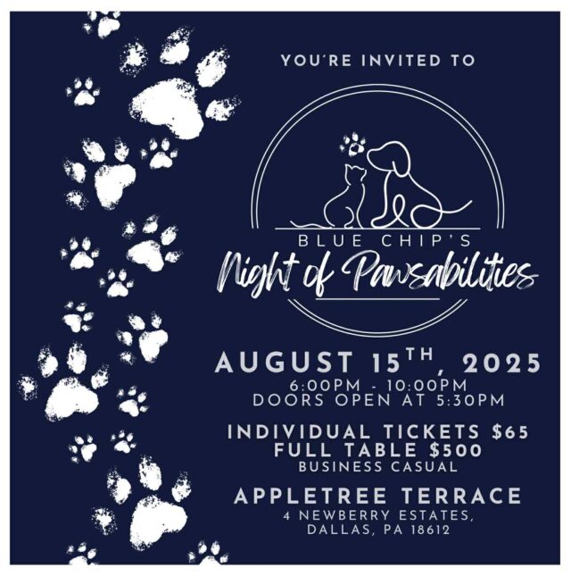 Home - Blue Chip Farm Animal Refuge